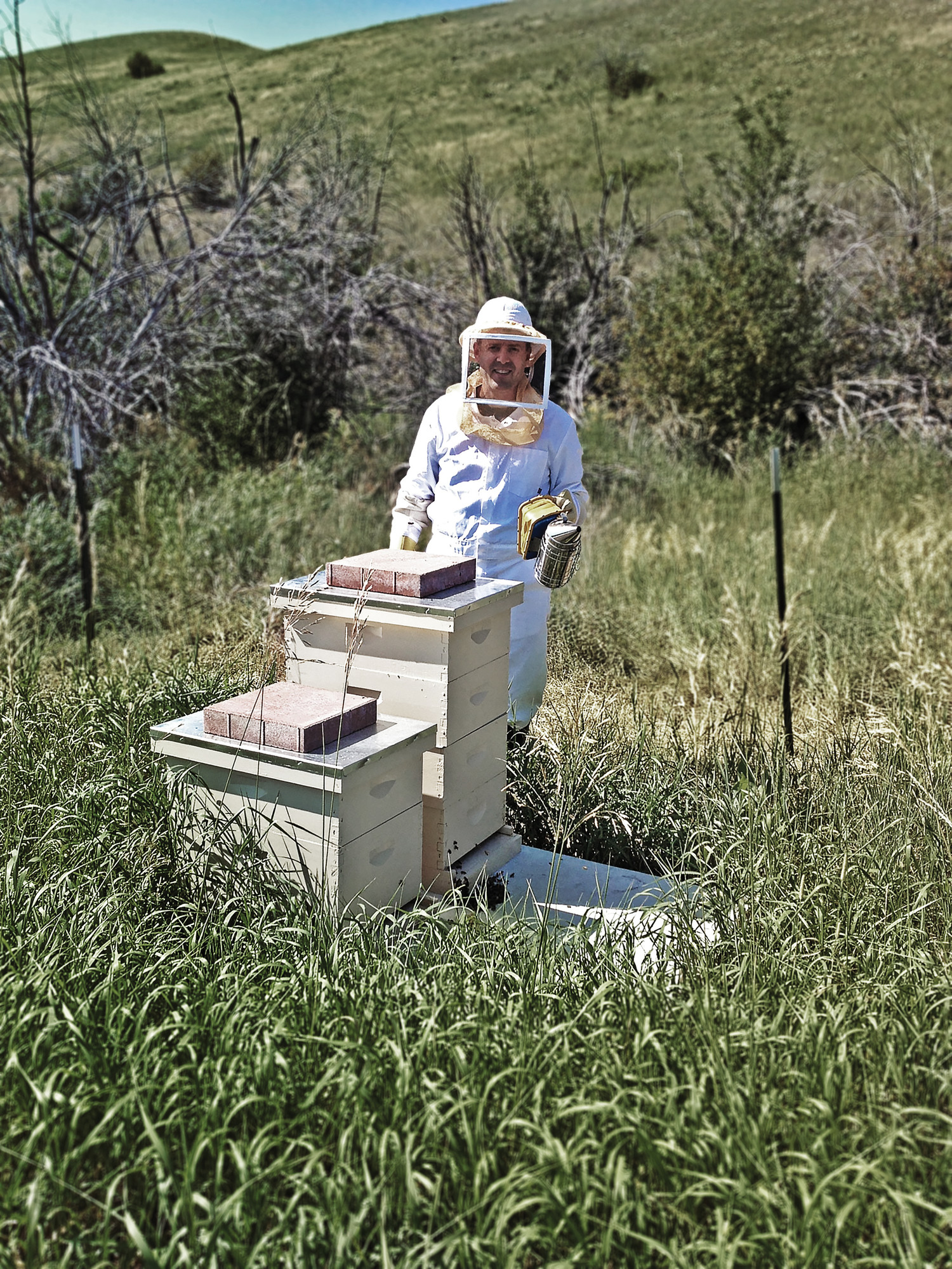 Life with Bees, in the Cloud, and More • Wheaton magazine